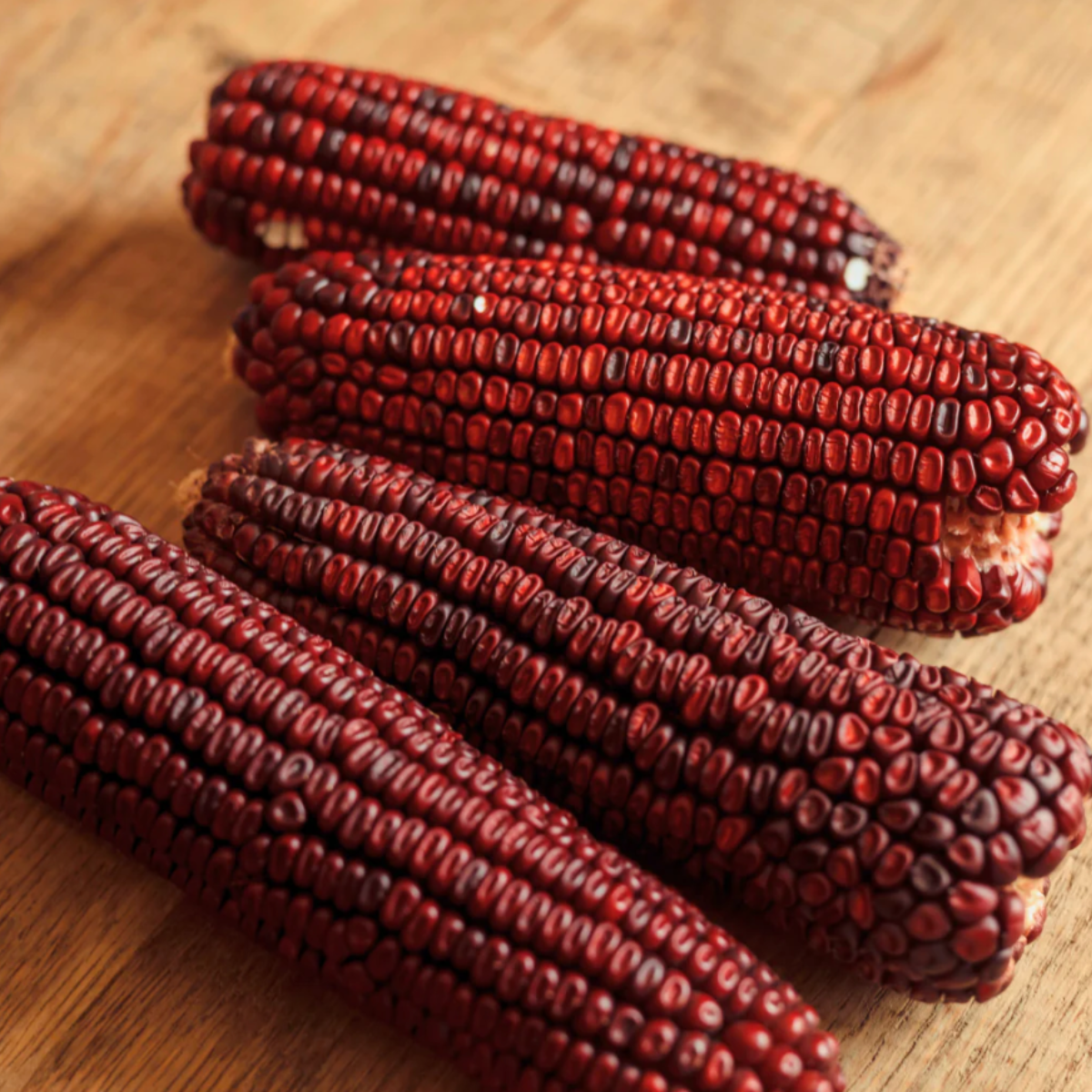 Certified Organic Heirloom Seeds - Red Maize | Thailand